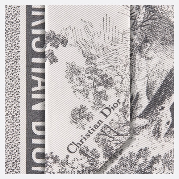 Dior | Accessories | Dior Toile De Jouy Sauvage Mitzah Scarf Grey ...